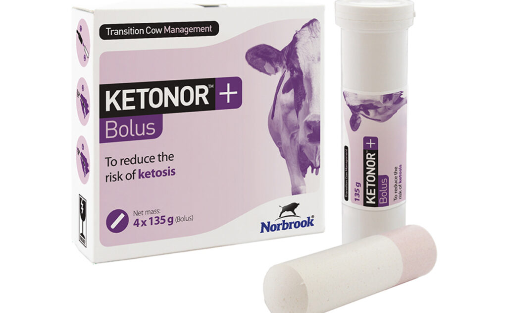 Ketonor+ Bolus for ketosis prevention in dairy cows